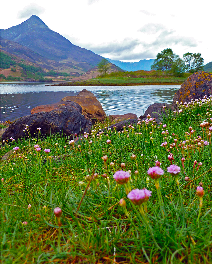 Glen Coe Scotland • Wander Your Way