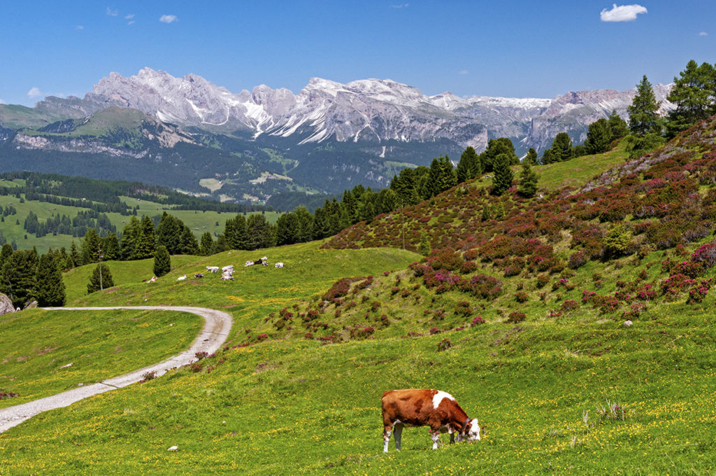 The 9 Impressive and Beautiful Dolomite Parks of Italy • Wander Your Way