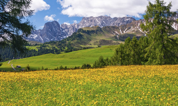 The 9 Impressive and Beautiful Dolomite Parks of Italy • Wander Your Way