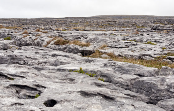 Why the Burren is Ireland's Most Fascinating Landscape • Wander Your Way