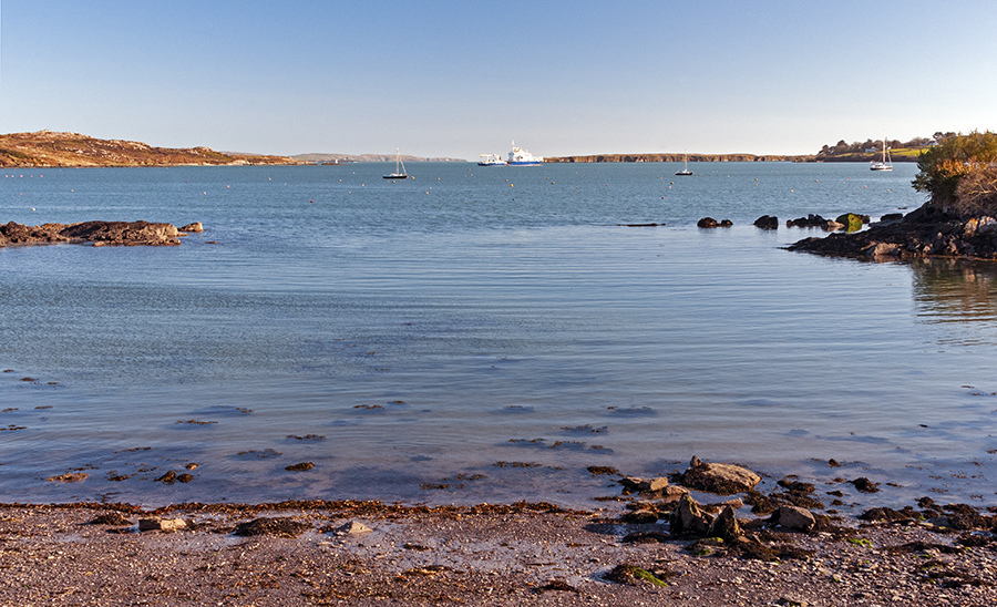 Schull harbor • Wander Your Way