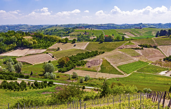 Matteo Correggia: An Amazing Winery in Piedmont Italy • Wander Your Way