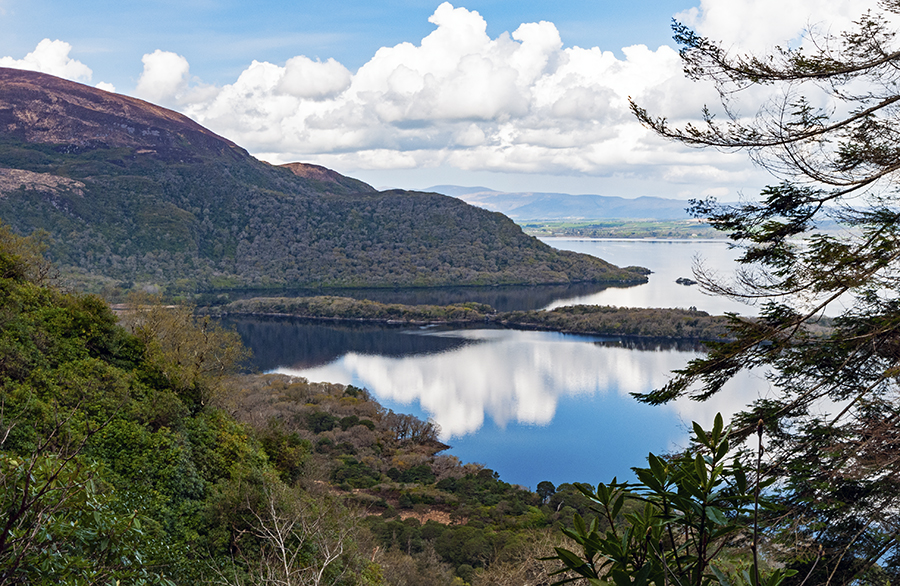 Killarney National Park • Wander Your Way