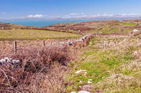 Why You Need to Visit the Beautiful Cape Clear Ireland • Wander Your Way