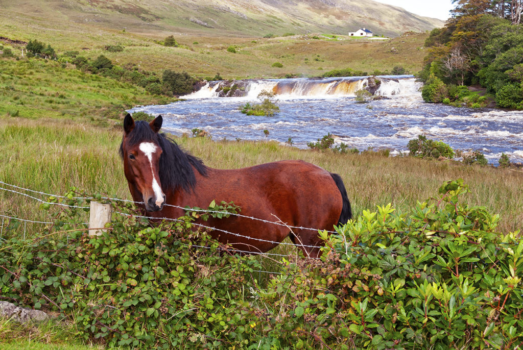 9 Awesome Things To Do in Beautiful County Mayo Ireland • Wander Your Way