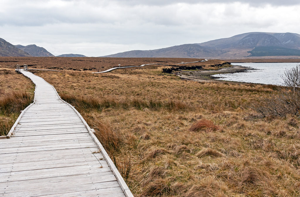 5 Reasons You Need to Explore the Unique Wild Nephin Ballycroy National ...
