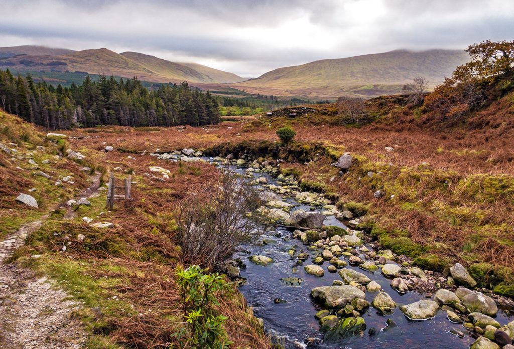 5 Reasons You Need to Explore the Unique Wild Nephin Ballycroy National ...