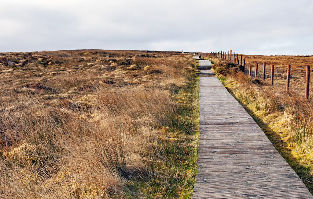 Why You Need to Visit the Amazing Céide Fields Ireland • Wander Your Way