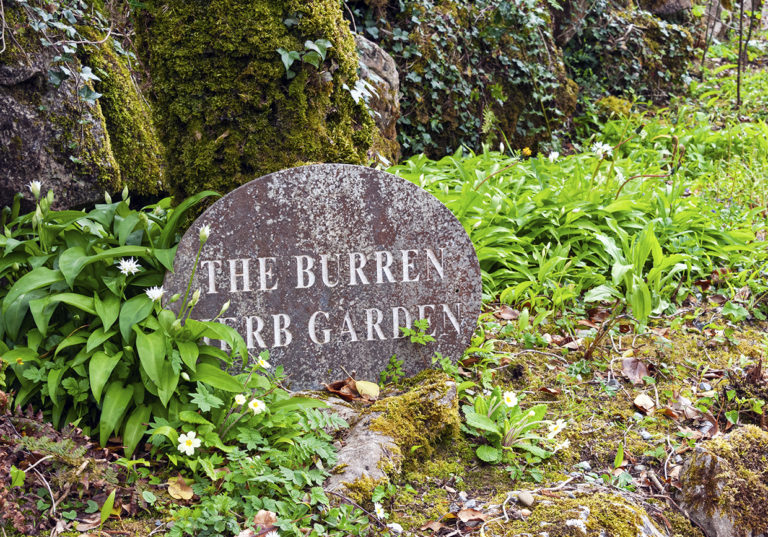 Why You Need to Visit the Unique and Fabulous Burren Perfumery Ireland ...