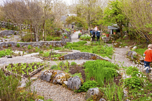 Why You Need to Visit the Unique and Fabulous Burren Perfumery Ireland ...