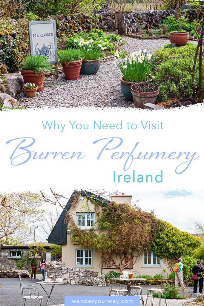 Why You Need to Visit the Unique and Fabulous Burren Perfumery Ireland ...