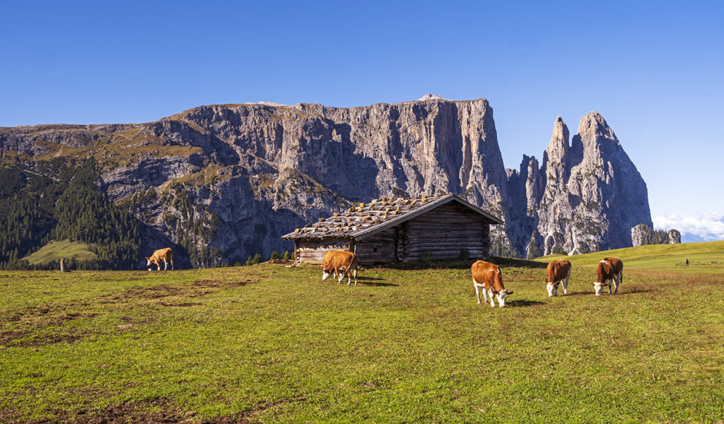 The 3 Reasons Why I Love the Beautiful Alpe di Siusi Italy • Wander ...