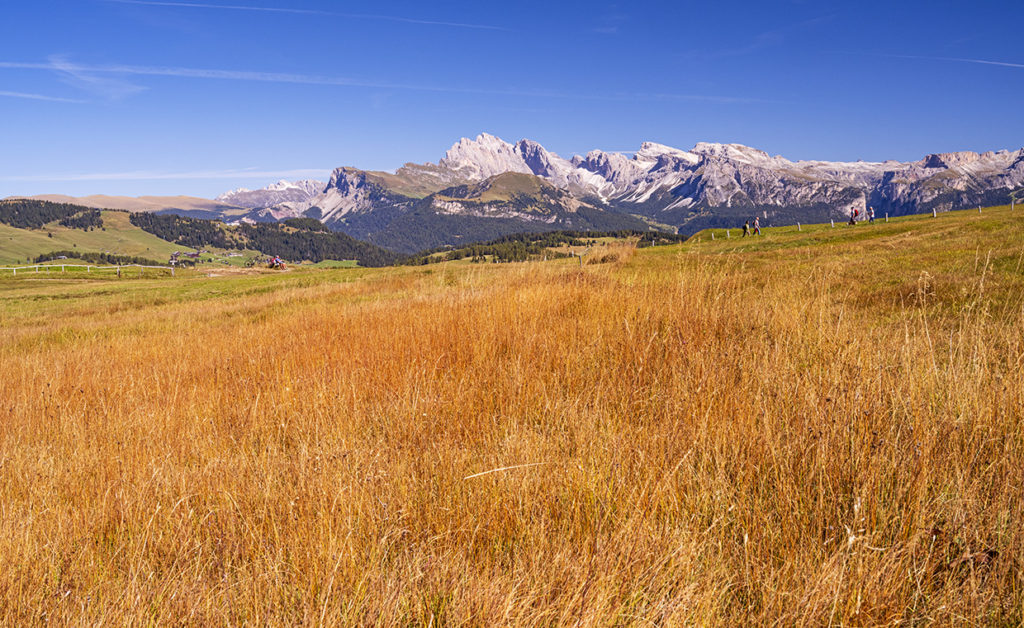 My Joyful Love Affair with the Beautiful and Diverse South Tyrol Italy ...