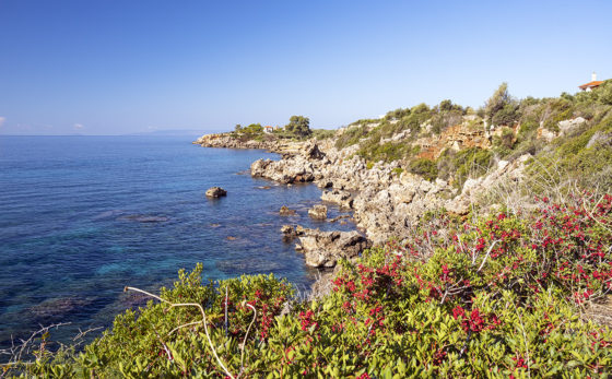 The 8 Wonderful Things You Need to Do in Beautiful Stoupa Greece ...