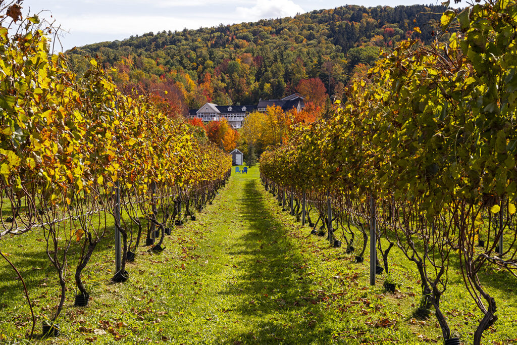 The 11 Best Things To Do in Beautiful Mid-Coast Maine USA • Wander Your Way
