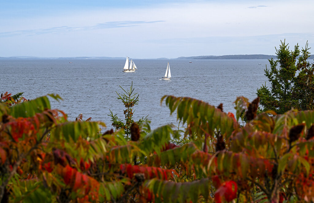 The 11 Best Things To Do in Beautiful Mid-Coast Maine USA • Wander Your Way