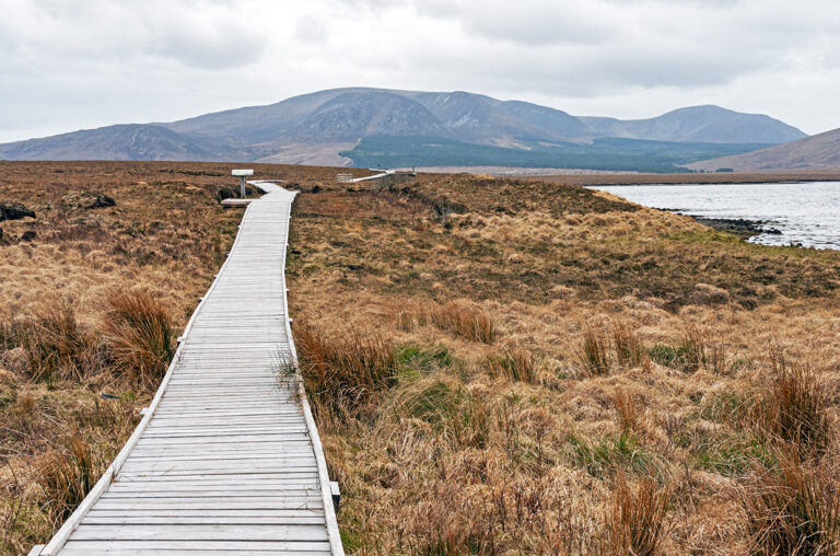 County Mayo • Ireland • Wander Your Way