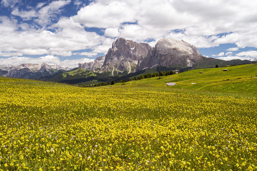 Why I Keep Returning to the Wonderful Castelrotto and Alpe di Siusi ...