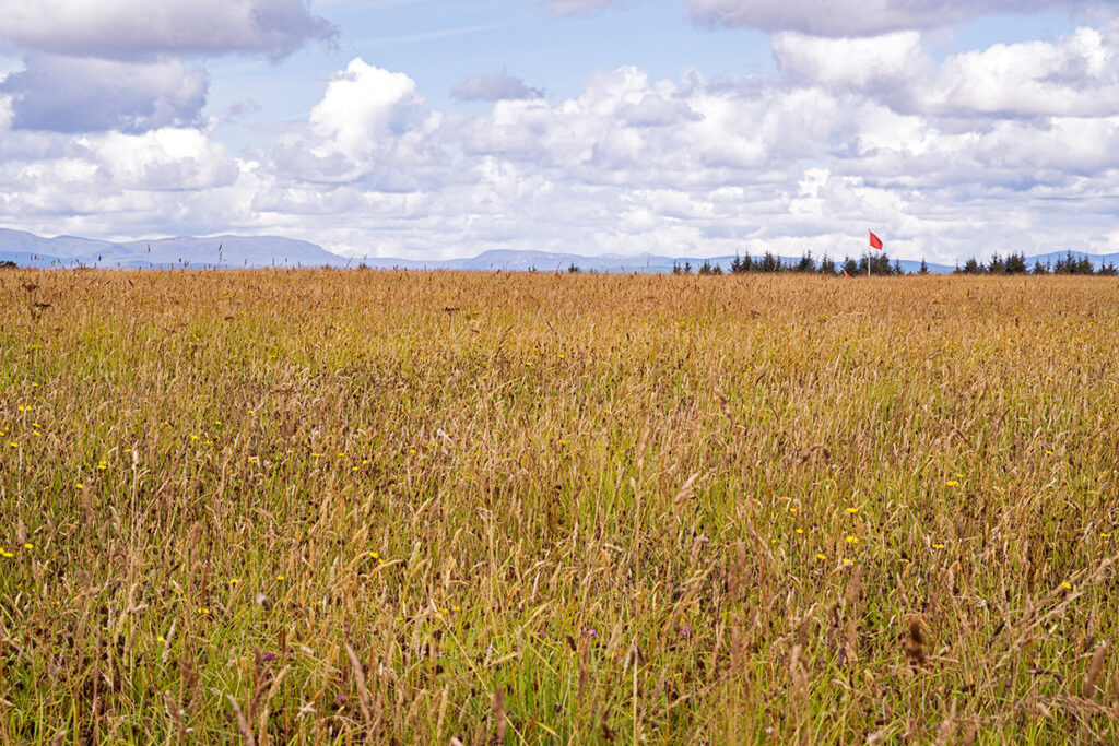 Culloden Battlefield: One of the Most Important Sites in Scotland ...