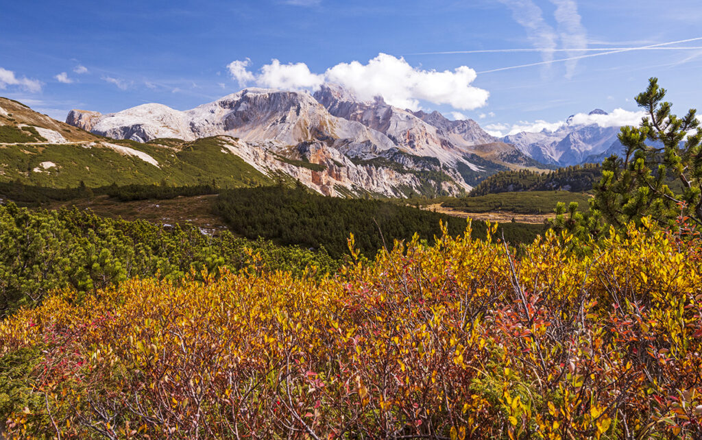 My 5 Favorite Beautiful Nature Parks in Europe • Wander Your Way