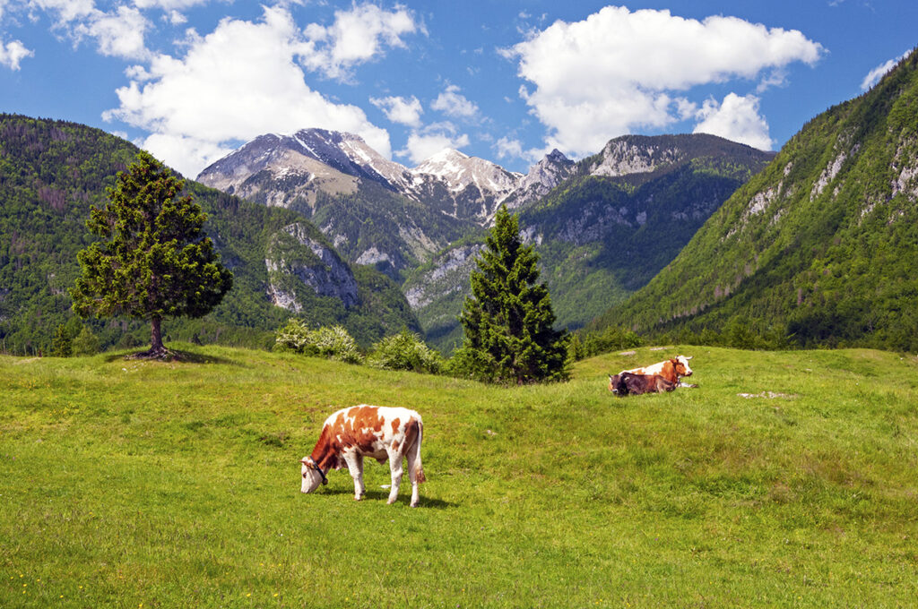 My 5 Favorite Beautiful Nature Parks in Europe • Wander Your Way