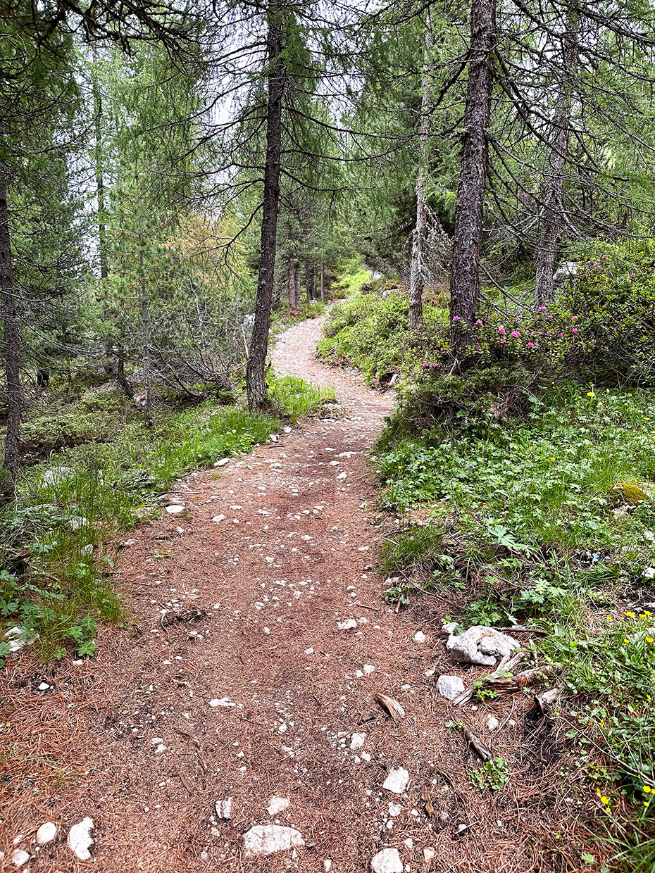 Why I Love Walking to the Gorgeous Gran Fanes Italy • Wander Your Way