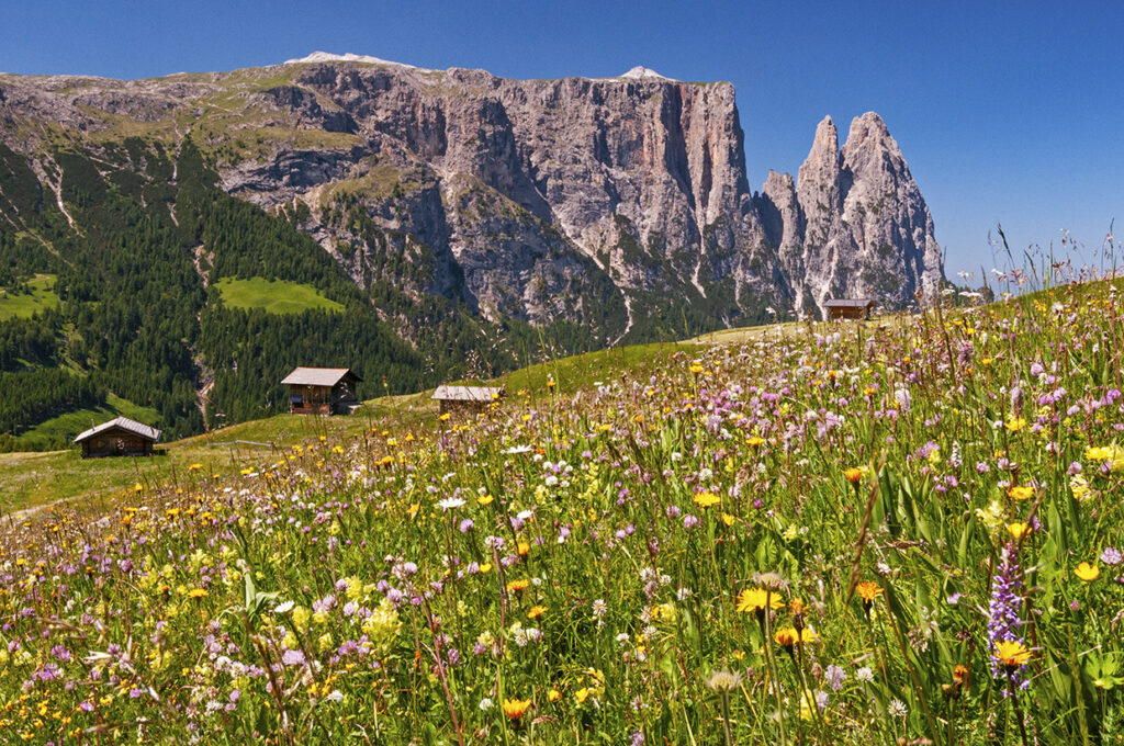 6 Beautiful Places in Europe to See Flowers — From March to August ...
